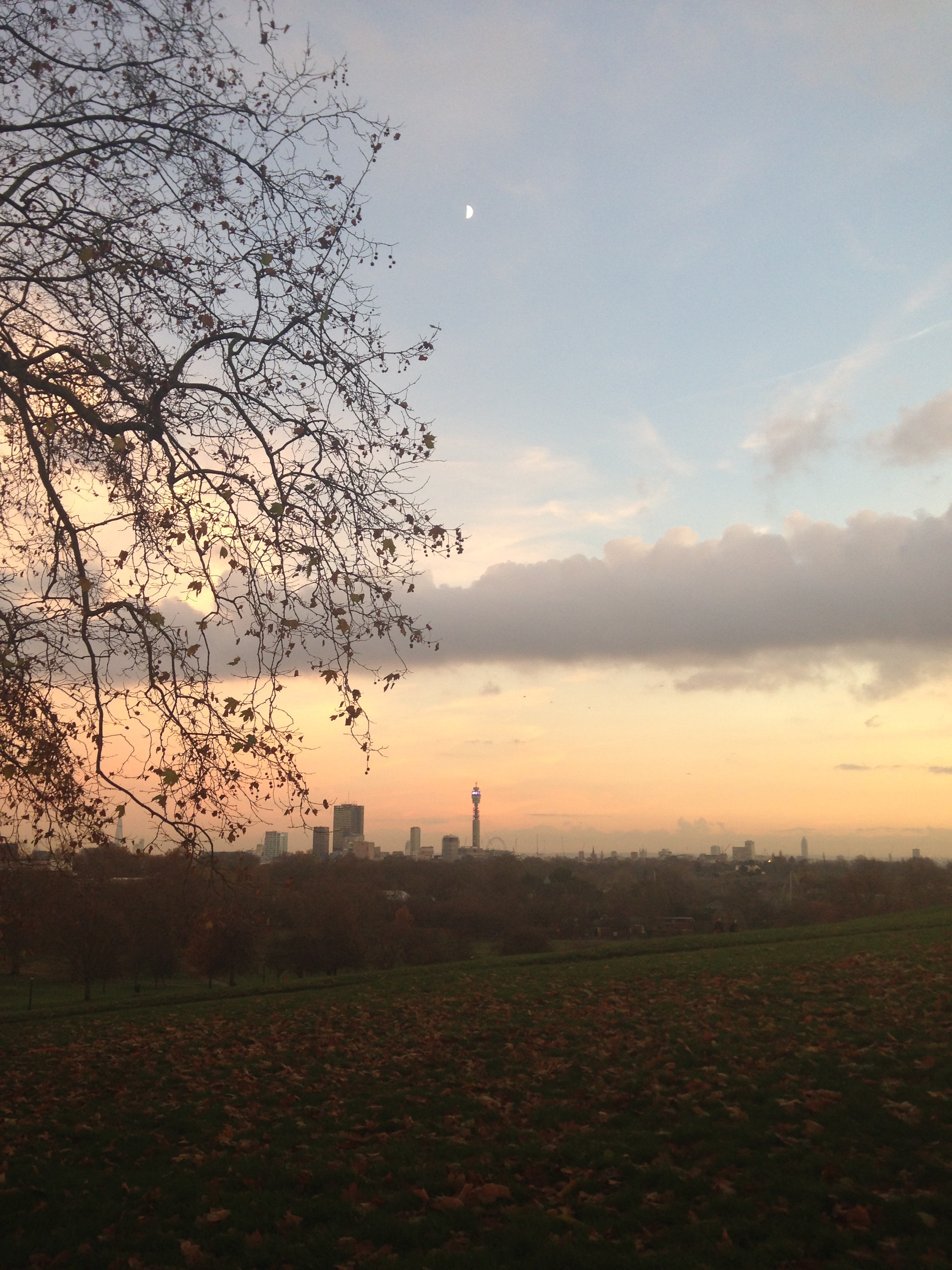 PHOTO OF THE DAY: WINTER LIGHT AND MOON #PRIMROSEHILL – iLPH